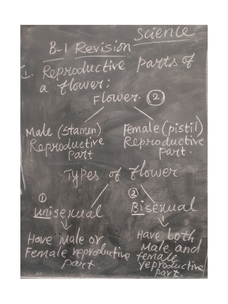 Std-5 Science Block-1 Ln-1&2 Revision | PDF