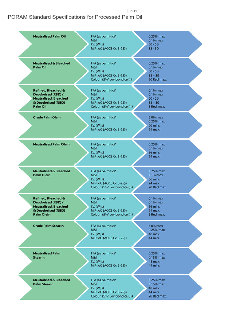 PORAM Standard Specification | PDF