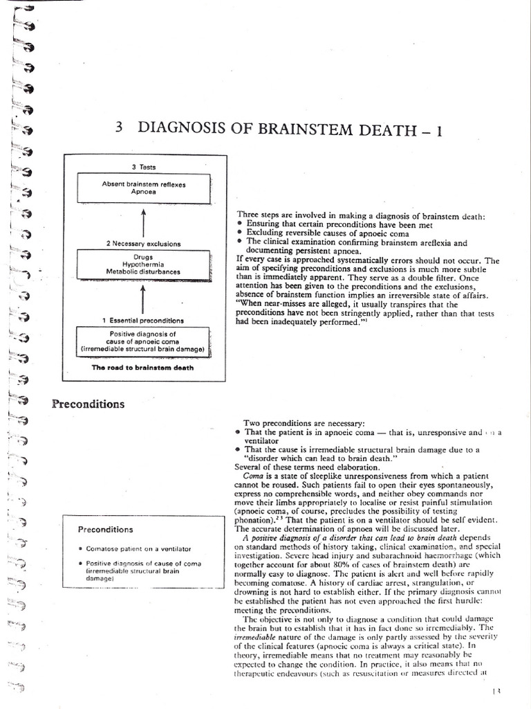 Brain Stem Death Chapter 3 | PDF