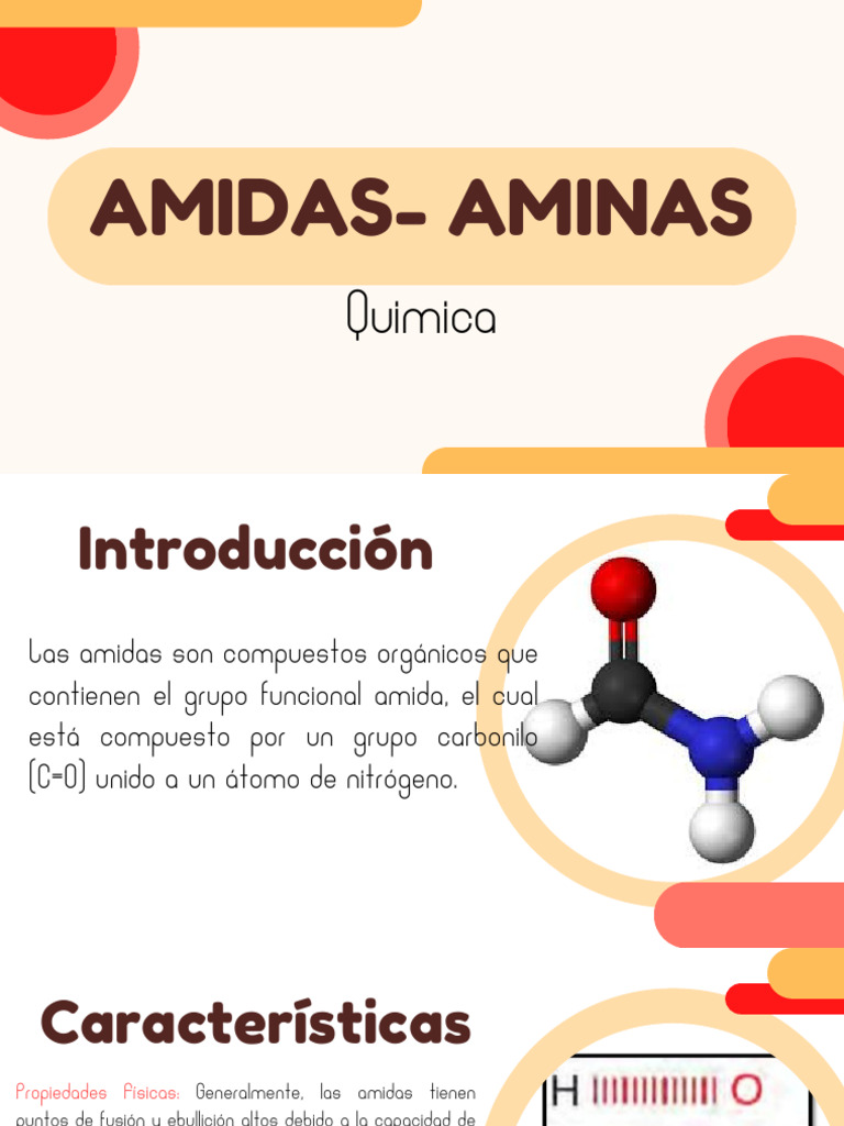 Amidas y Aminas: Propiedades y Usos | PDF | Amida | Amina