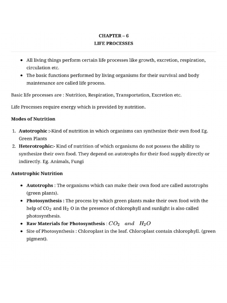 Life Processes | PDF
