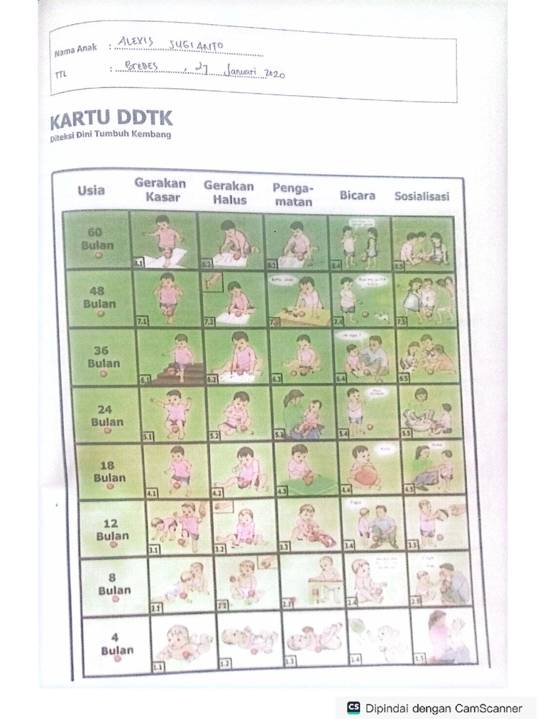 Data Ddtk Alexis Pdf