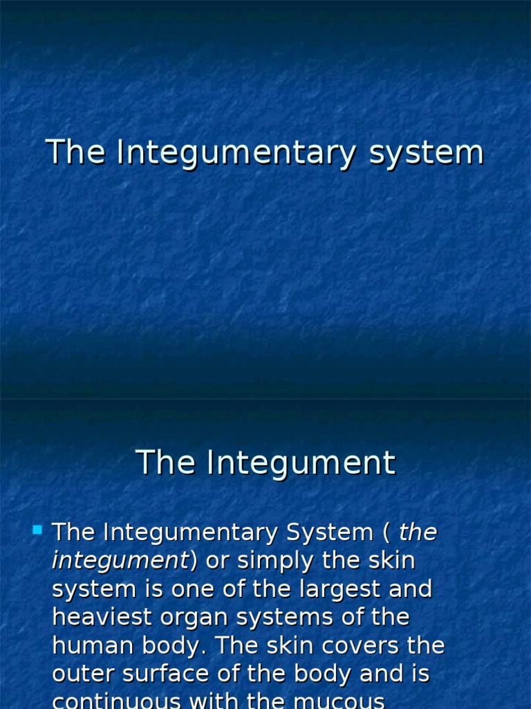 Intug System | PDF | Skin | Integumentary System