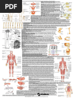 Understanding Clubbing and Its Grades | PDF