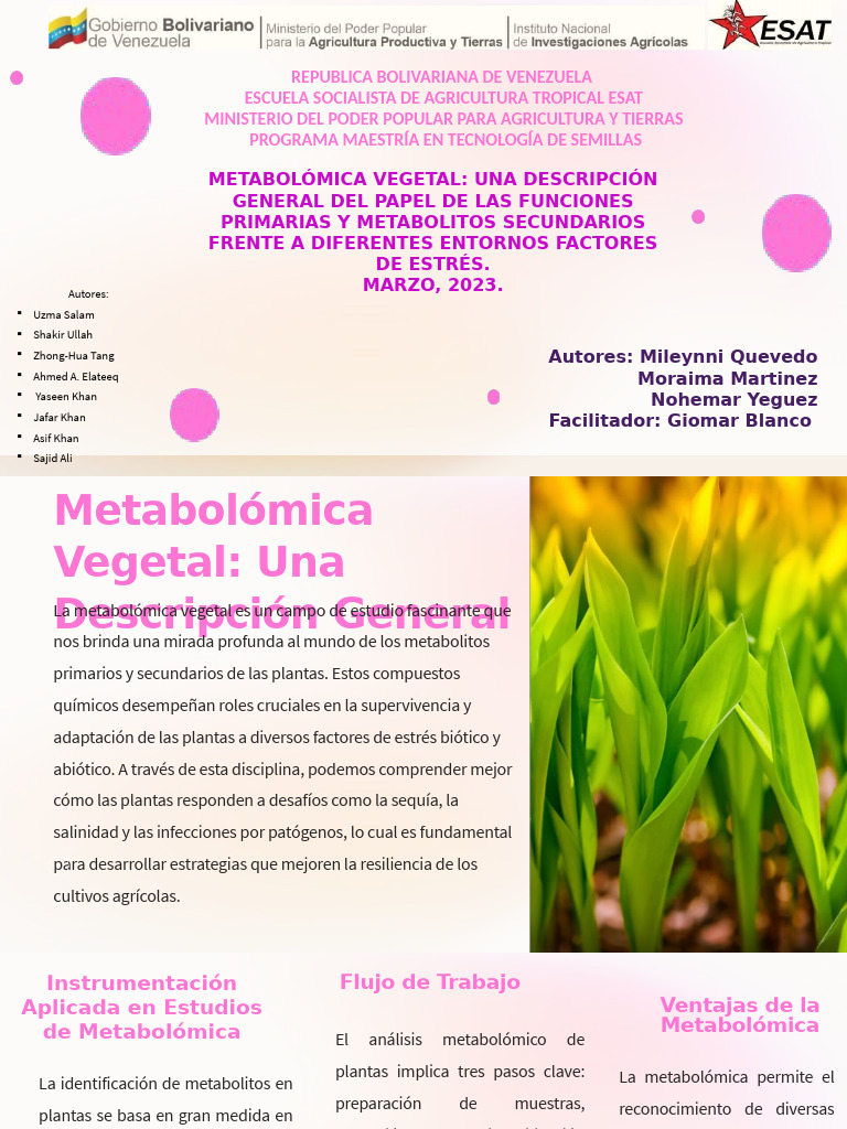 Metabolomica Vegetal Una Descripcion General | PDF | La metabolómica ...