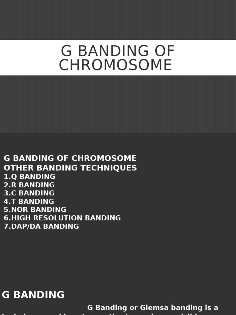 G Banding of Chromosome | PDF | Karyotype | Cytogenetics