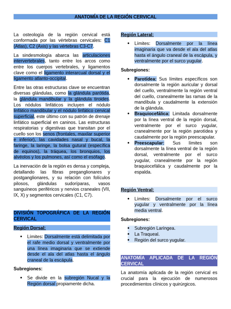 Anatomía Cervical: Estructuras y Abordajes | PDF | Laringe | Vértebra