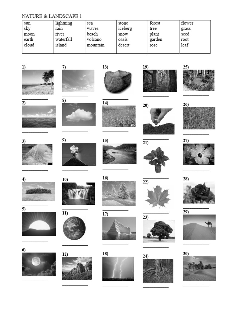 Nature and Landscape Vocabulary List | PDF