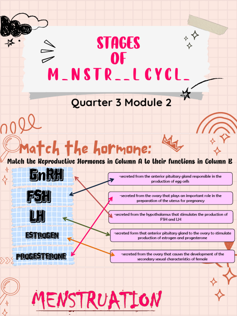 Menstrual Cycle | PDF