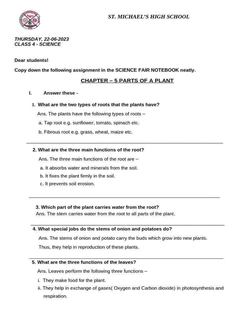 Std.4 Science Assignment | PDF | Plants | Root