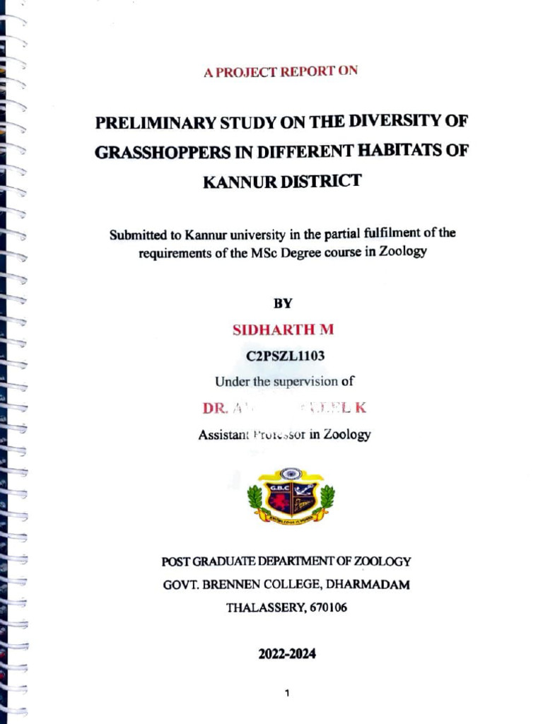 Project1 Dec 2024 | PDF