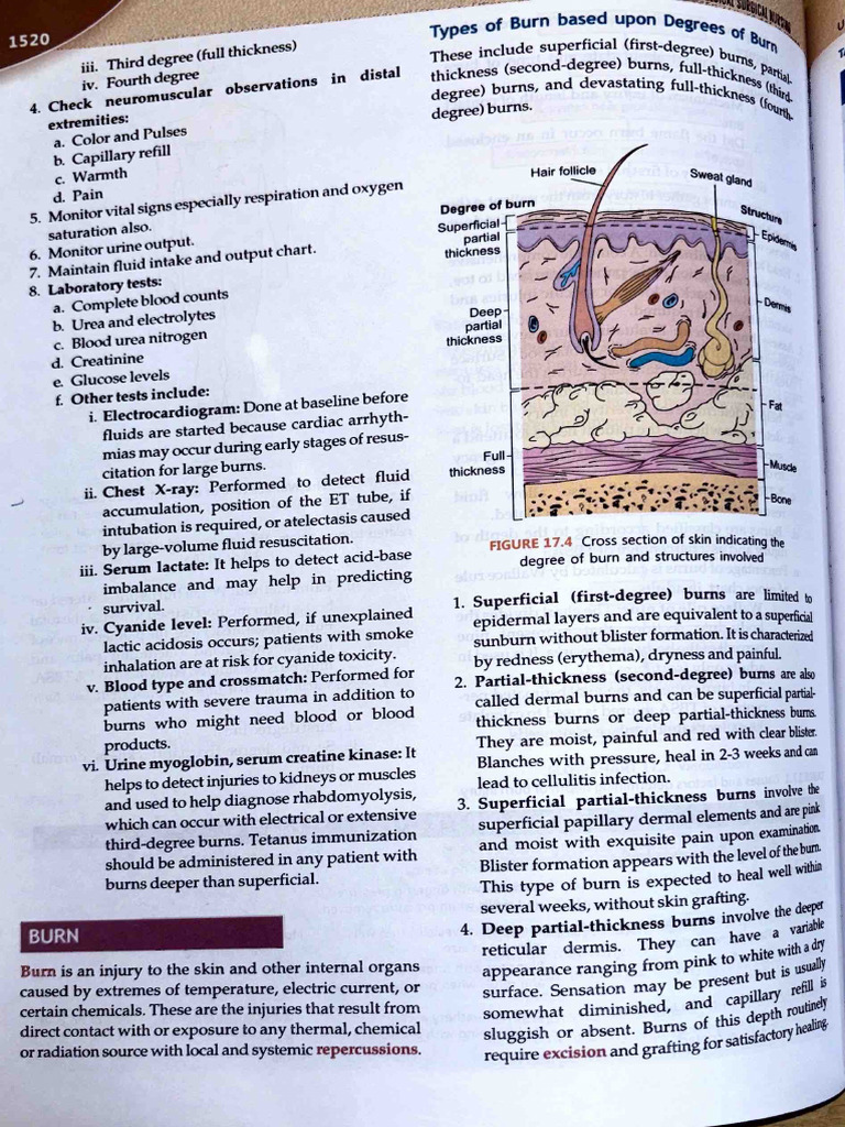 Adult Helath Nursing Burn | PDF | Burn | Medical Specialties