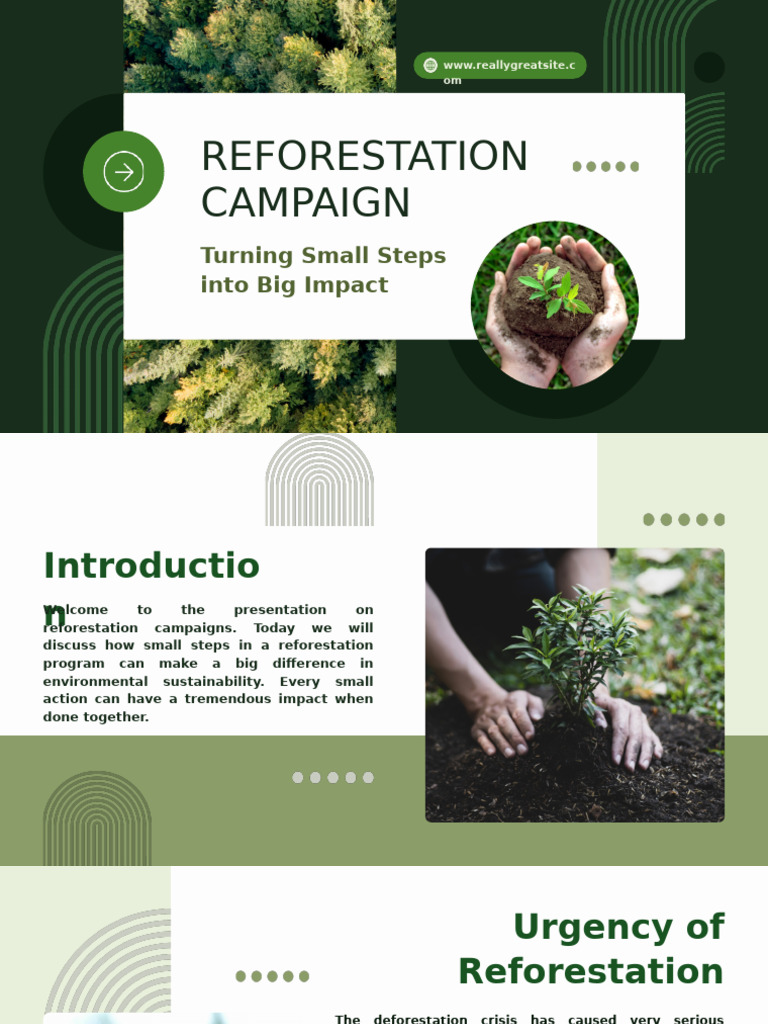Small Steps in Reforestation Impact | PDF | Deforestation | Ecological ...