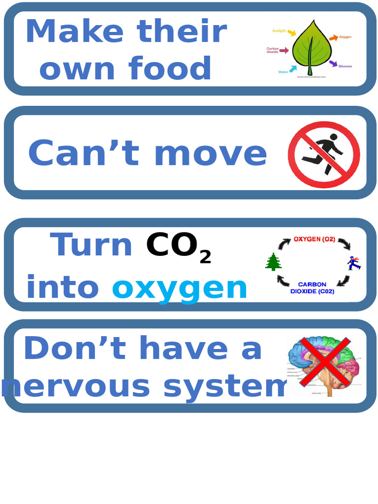 Plant and Animal Characteristics | PDF