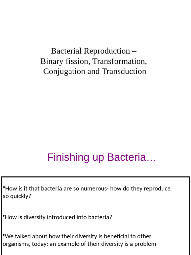 21, 22. Bacterial Reproduction | PDF | Sexual Reproduction | Cell (Biology)