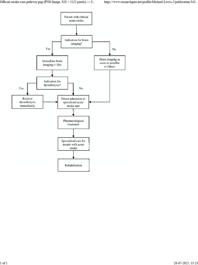 Official-Stroke-Care-Pathway - PNG (PNG Image, 828 × 1122 Pixels ...