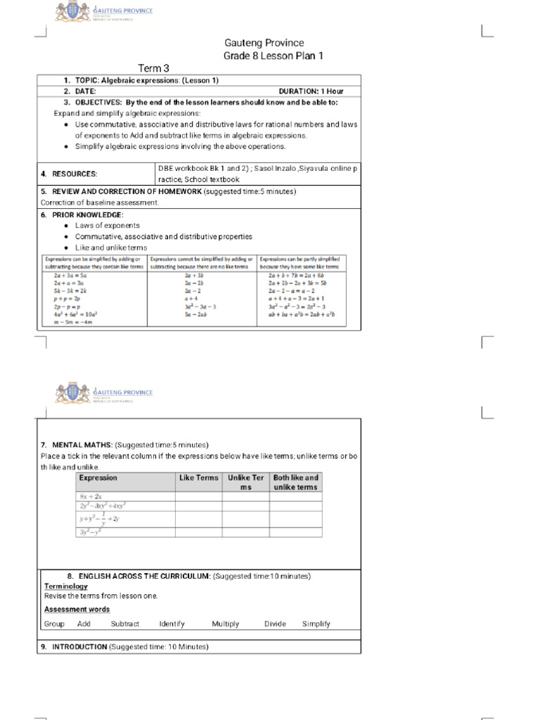Grade 8 Lesson Plans Term 3 FINAL - Phoenix | PDF