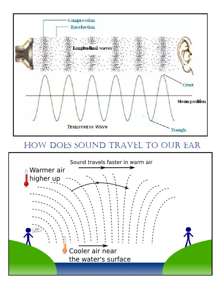 Science Sounds | PDF