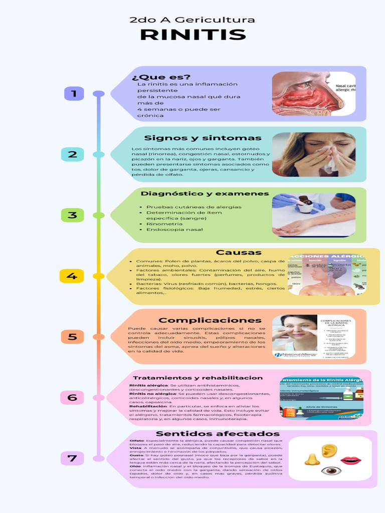 Infografía Rinitis | PDF