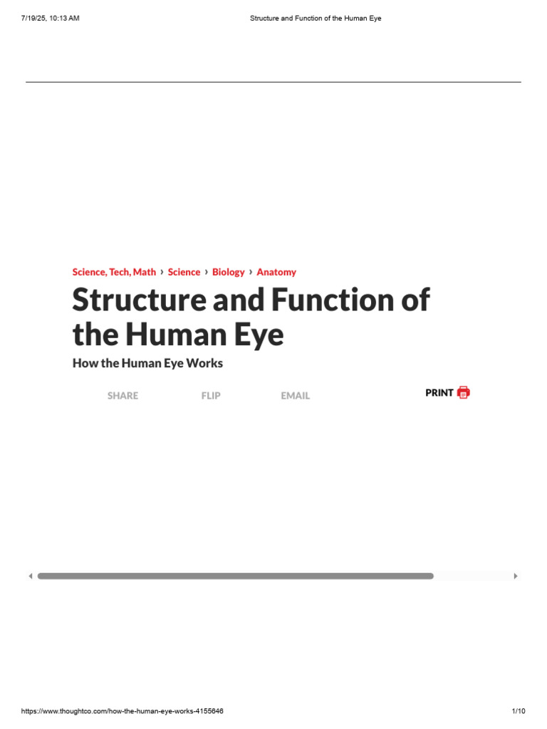 Human Eye Structure and Function Guide | PDF | Eye | Human Eye