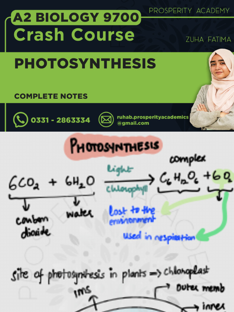 Photosynthesis | PDF