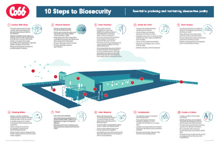 10 Steps for Poultry Biosecurity | PDF | Disinfectant | Drinking Water