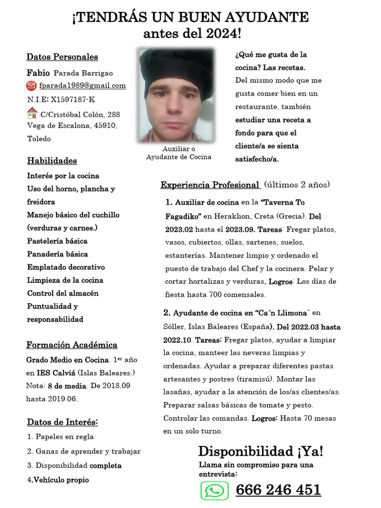 CV Fabio Toledo | PDF | Cocina | Cocina asiática