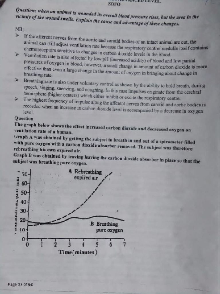 Homeostasis Notes 2 | PDF