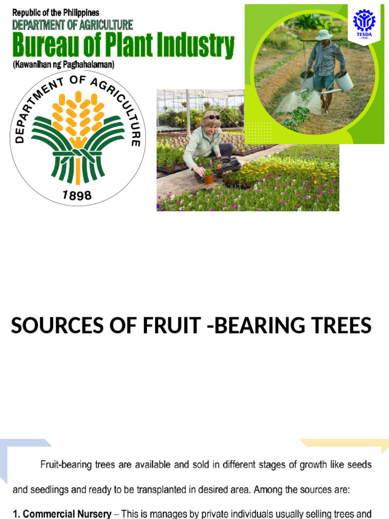 Q1 W4 Sources of Fruits | PDF