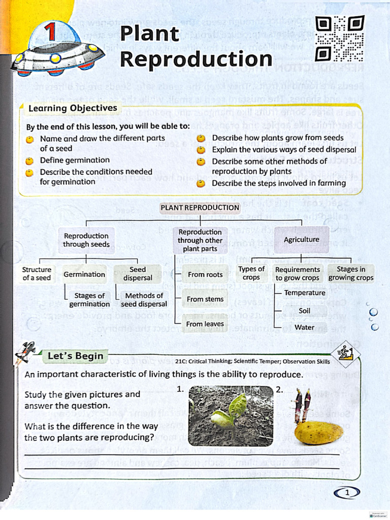 Plant Reproduction Grade 5 | PDF