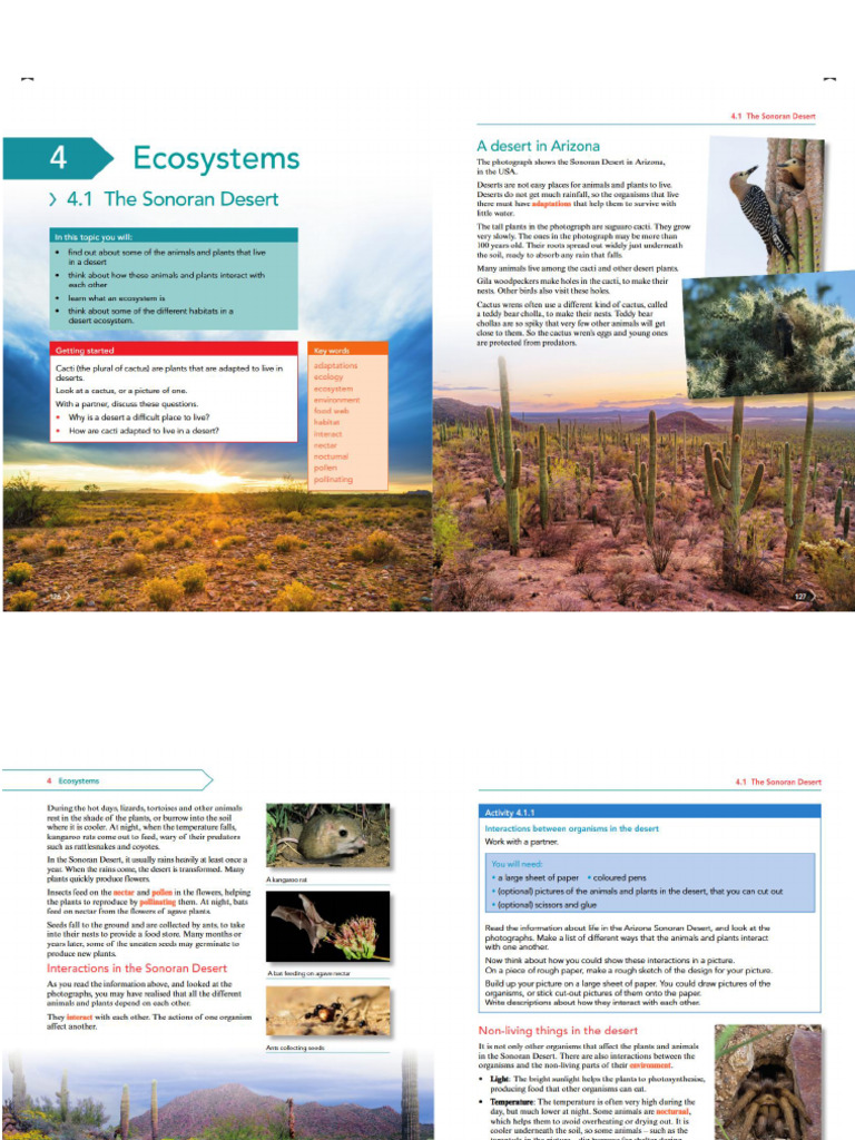 Chapter 4 and 5 | PDF