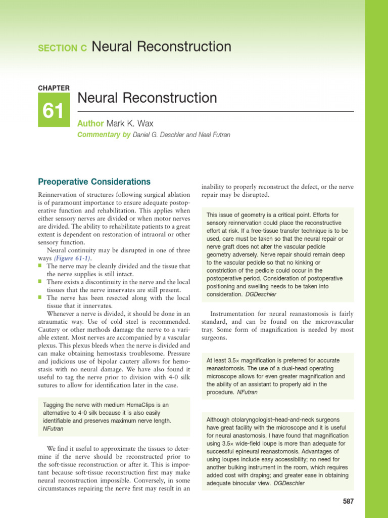 Neural Reconstruction | PDF | Human Anatomy