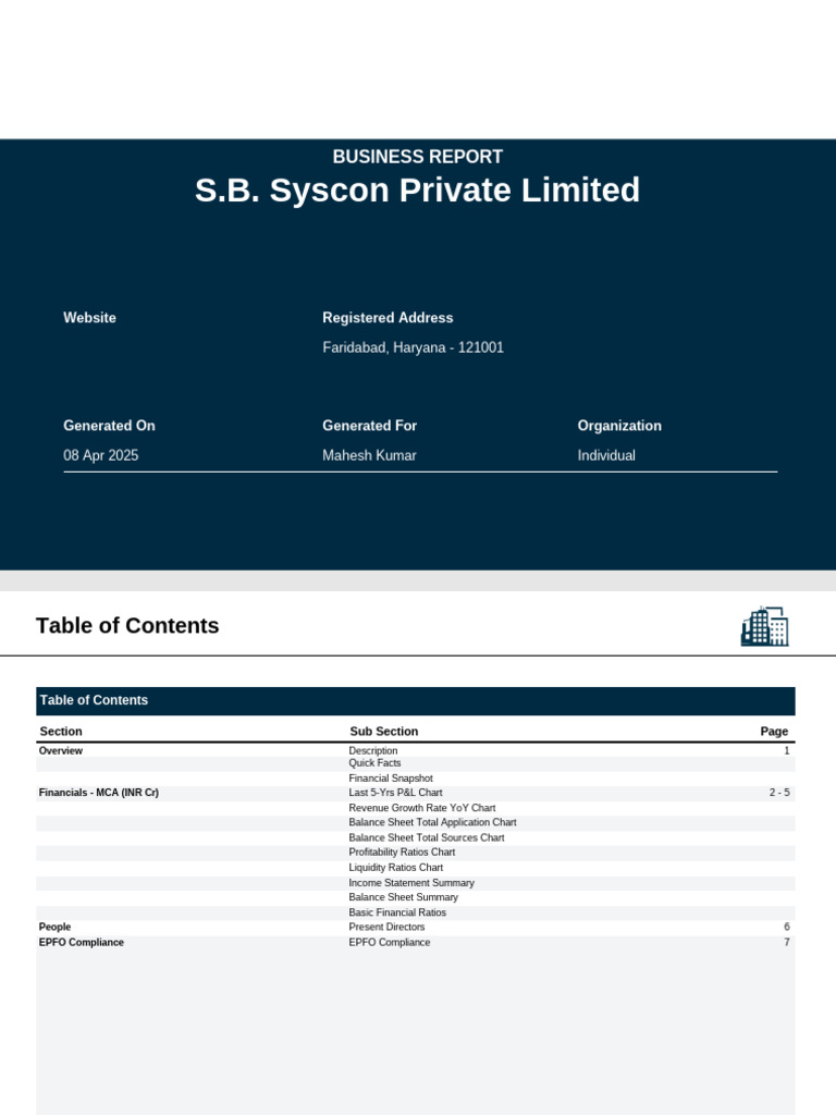 S.B. Syscon Pvt Ltd Business Report 2025 | PDF | Working Capital ...