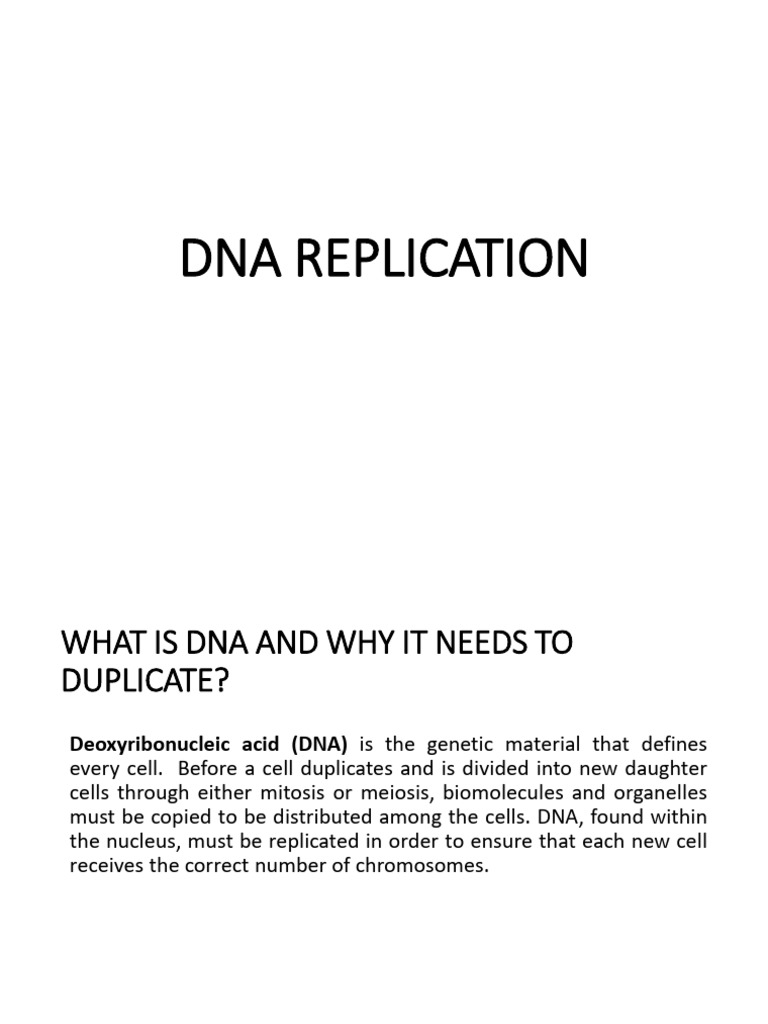2 Dna Replication Lecture | PDF | Dna Replication | Dna
