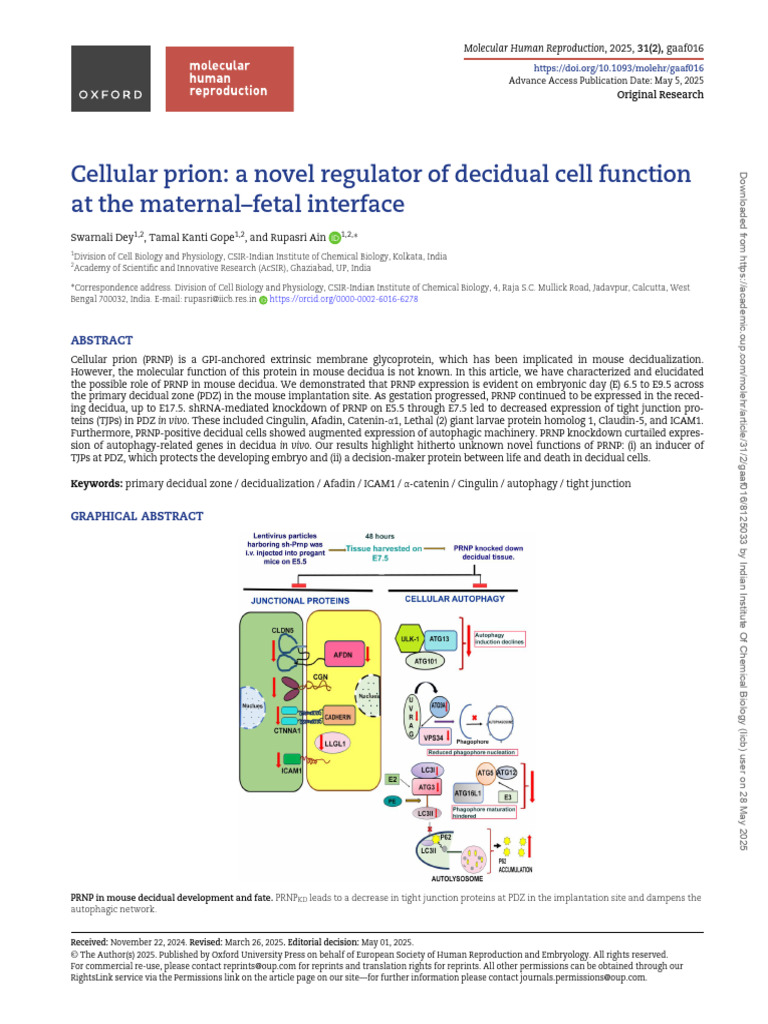 Cellular Prion and Its Role in Mouse Decidualization | PDF | Dna Ligase ...