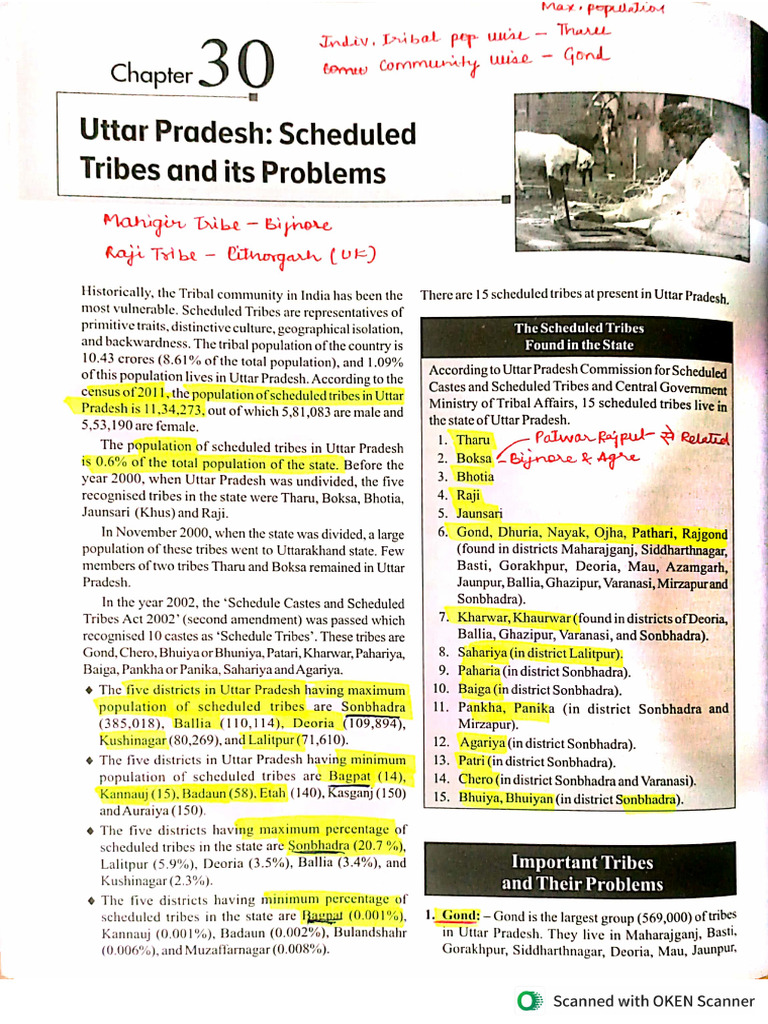 UP TRIBES Short | PDF