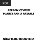 Class 10 Biology Reproduction Notes | PDF