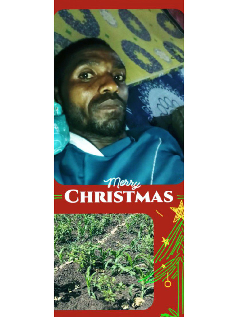 OneRead 20250615 1756 | PDF