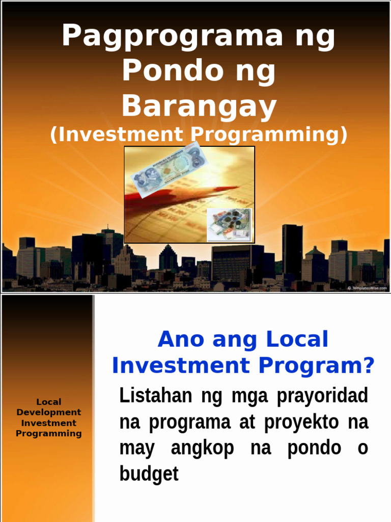BDP Investment Programming | PDF | Social Policy | Economies