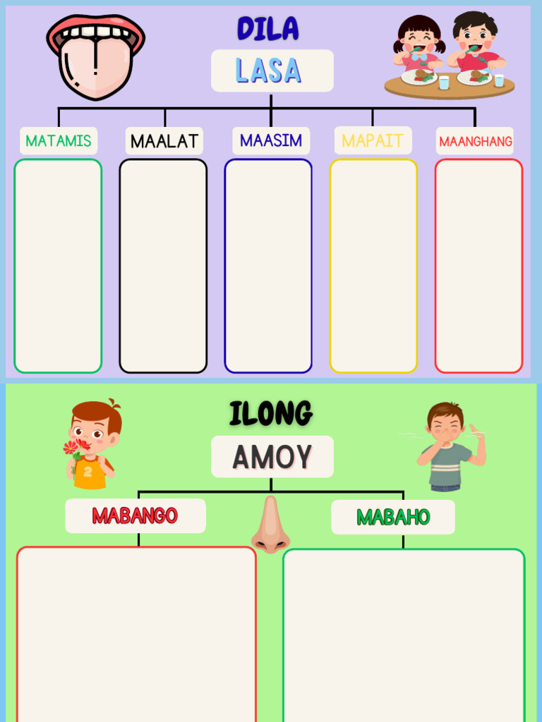 Graphic Organizer Senses | PDF