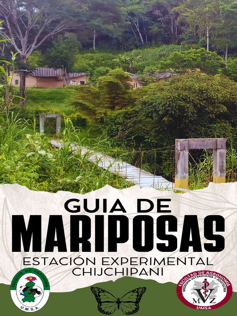 Guia de Mariposas Chijchipani | PDF | Mariposa | Crisálida
