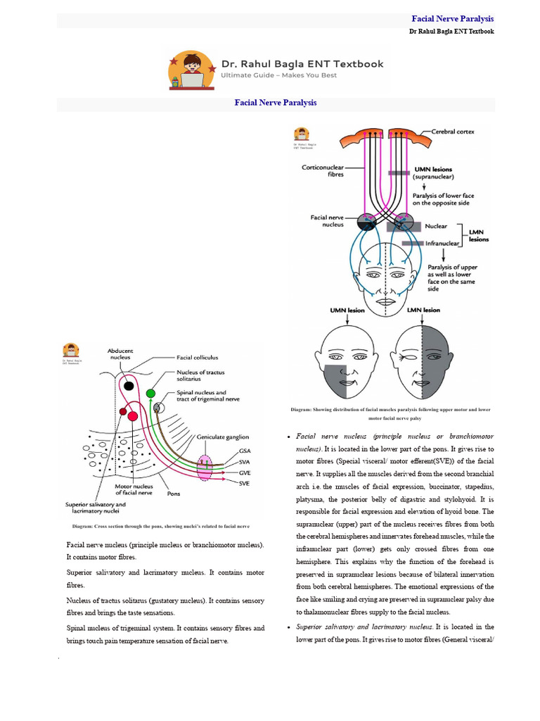 Facial Nerve Paralysis Overview | PDF | Nervous System | Human Head And ...