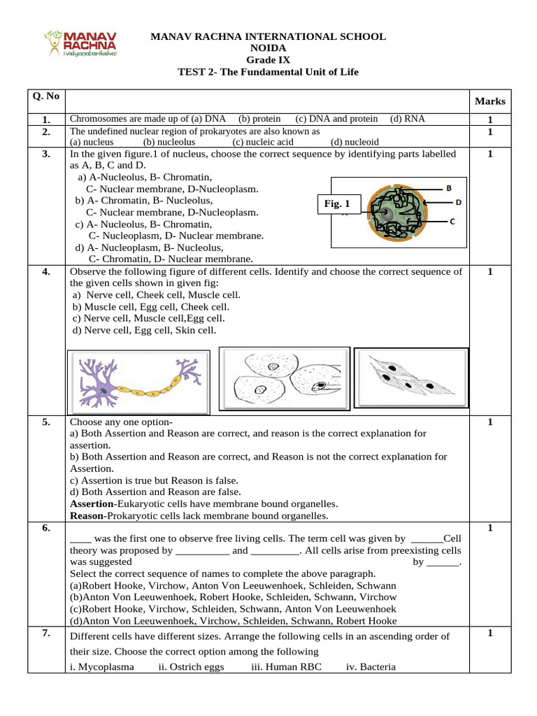 Grade IX Biology Test: The Fundamental Unit of Life | PDF | Cell ...