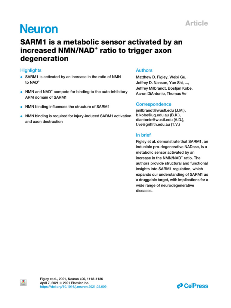 SARM1 Is A Metabolic Sensor Activated | PDF | Nicotinamide Adenine ...