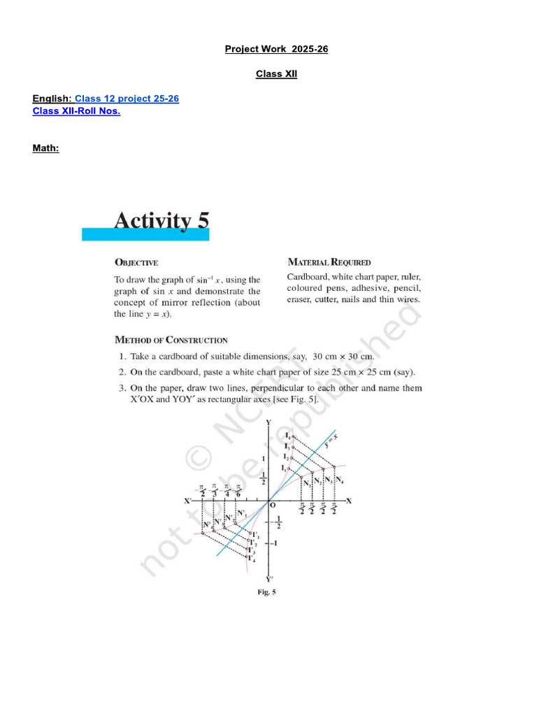 Maths Project | PDF