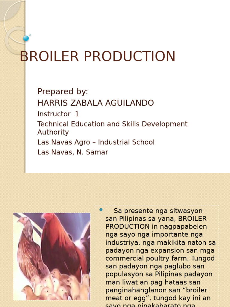 Broiler Production Guide and Practices | PDF | Broiler | Poultry Farming