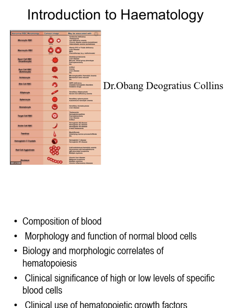 Introduction To Haematology-1 | PDF | Red Blood Cell | Granulocyte