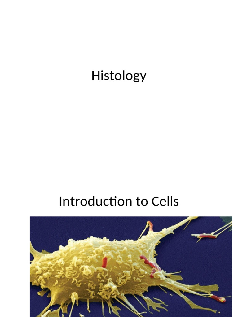 Overview of Cell Structure and Function | PDF | Endoplasmic Reticulum ...