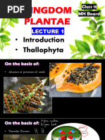 Reid - Elephant Foot Ferrule | PDF | Strength Of Materials | Civil ...