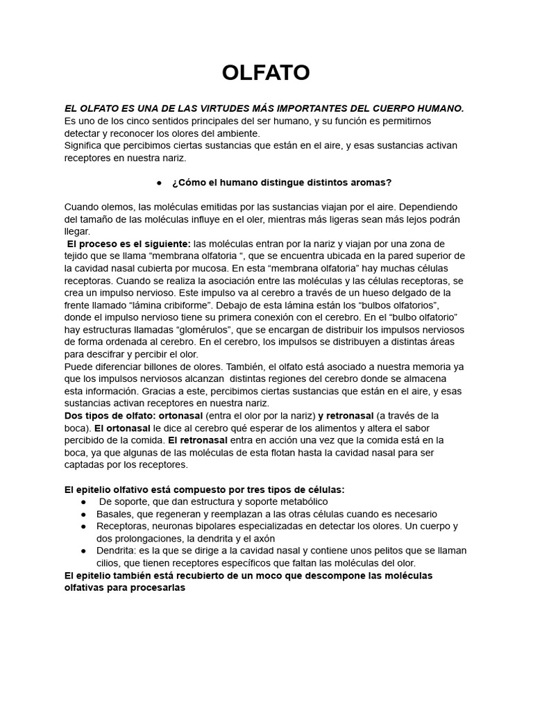 Función y trastornos del olfato humano | PDF | Sistema límbico | Rinología